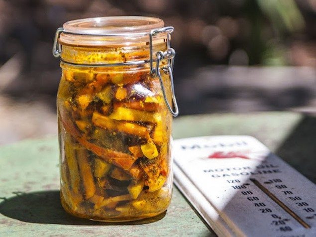 Pickled Whelks: Sea Snails Recipe by Alisha Lumea and Polly Legendre